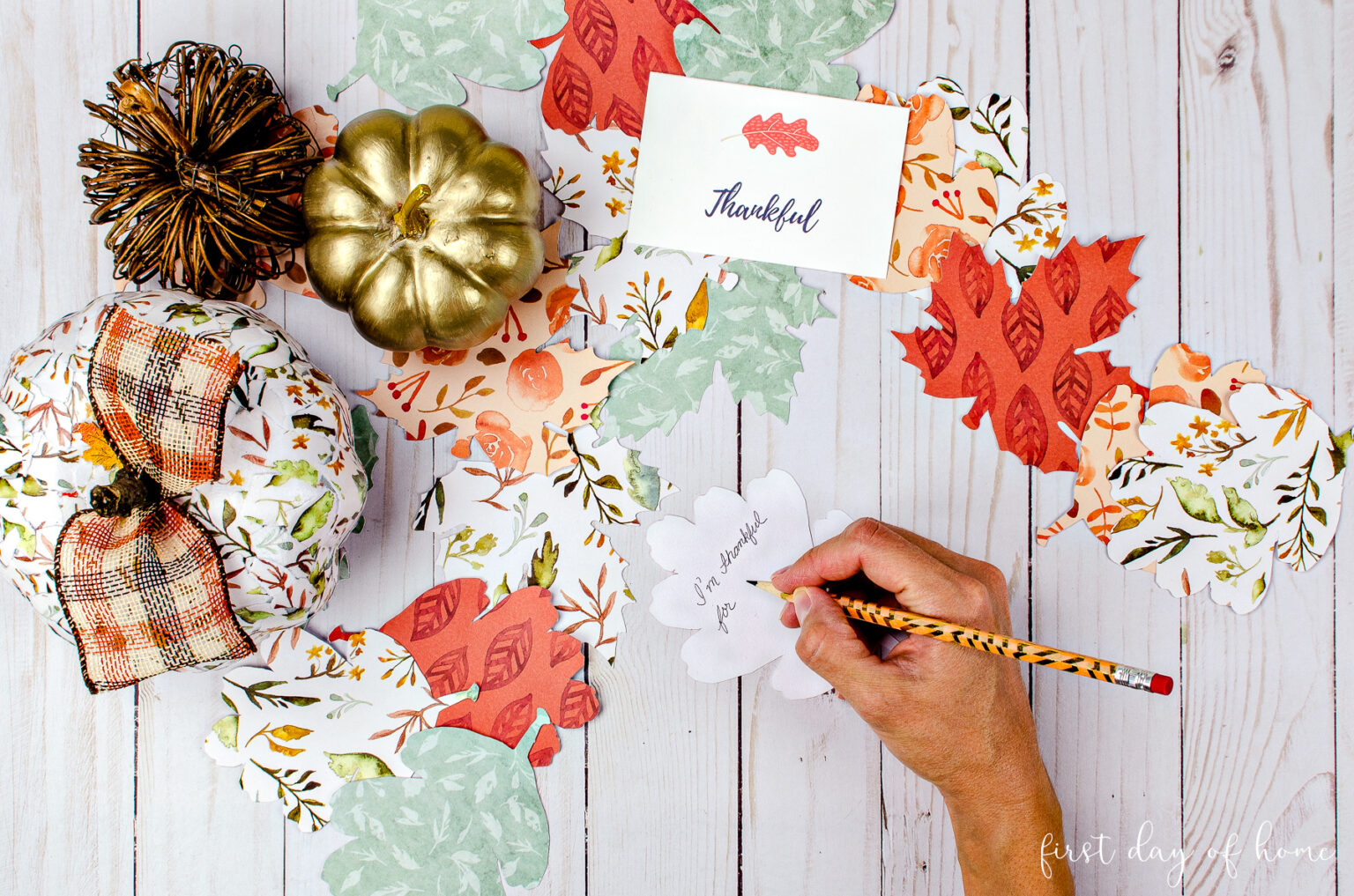 How to Make a Gratitude Tree Your Whole Family Will Love
