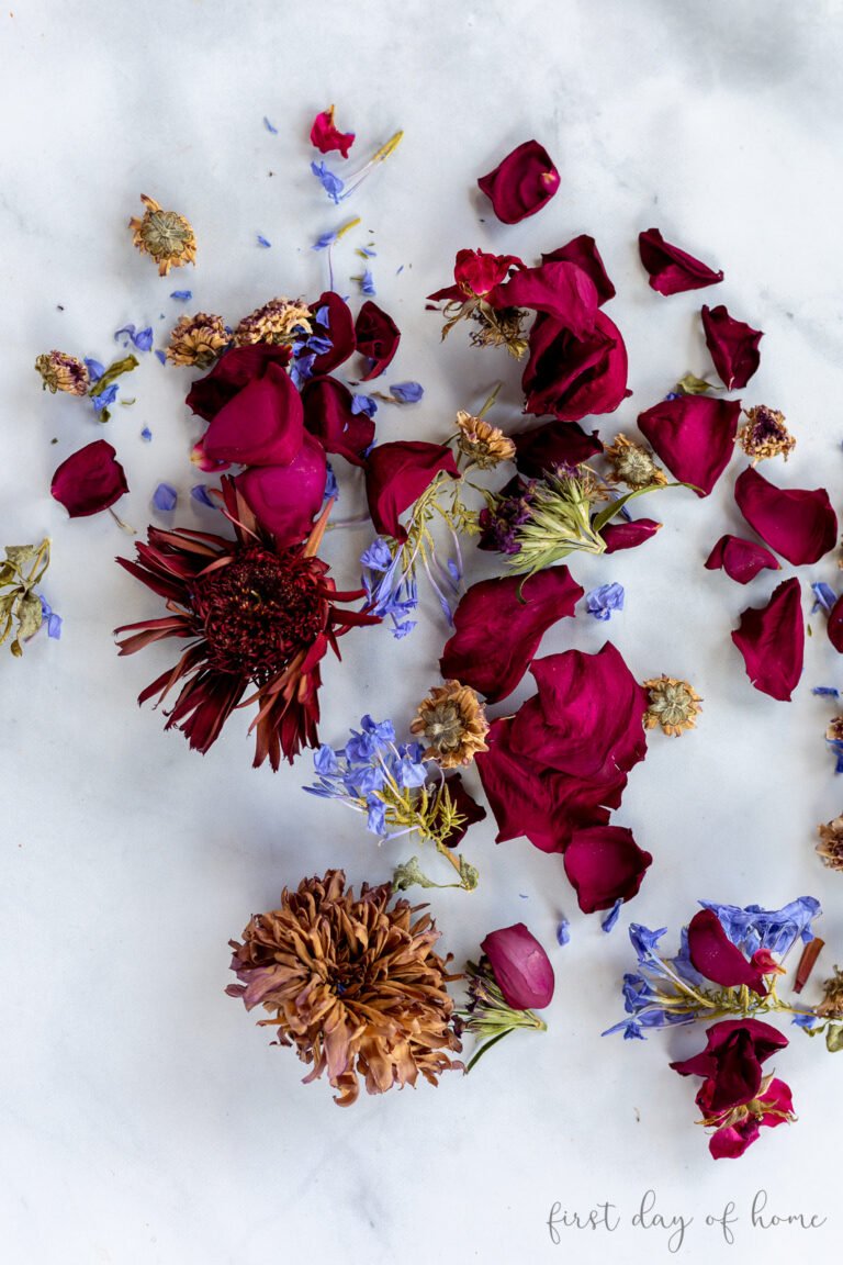 How to Dry Flowers and Get the Best Results Possible