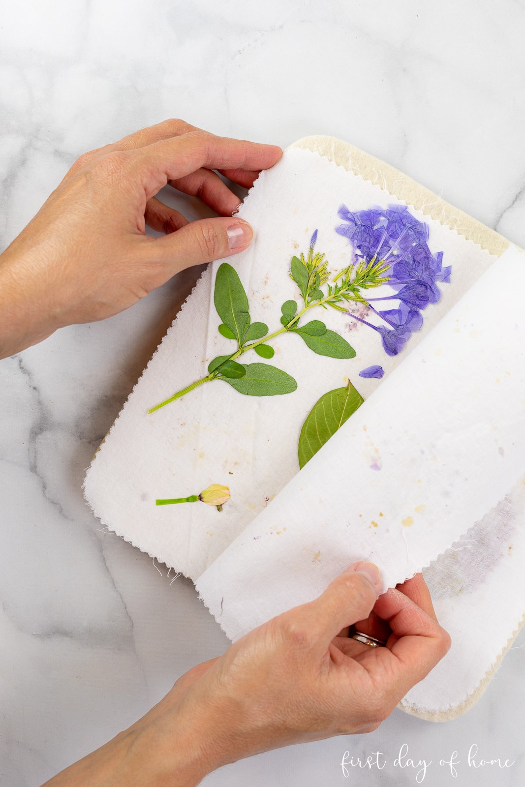 Preserving Flowers In Microwave Best Flower Site