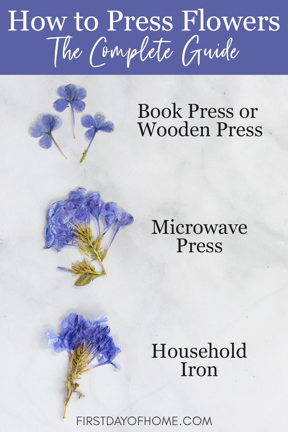 How To Press Flowers A Complete Guide For Beginners How To Press Flowers A Complete Guide For Beginners