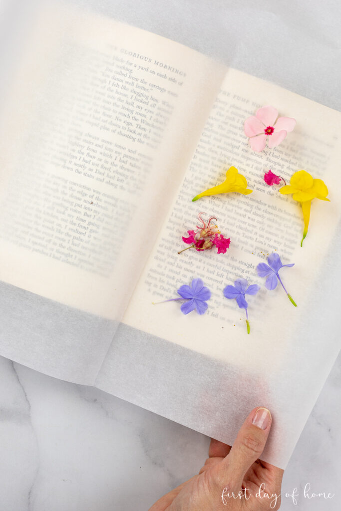 How to Press Flowers: A Complete Guide for Beginners