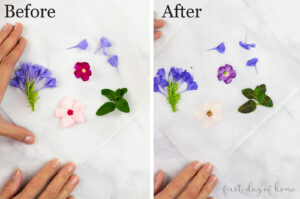 How to Press Flowers: A Complete Guide for Beginners