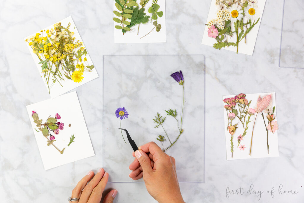 Gorgeous Pressed Flower Wall Art: 3 Projects