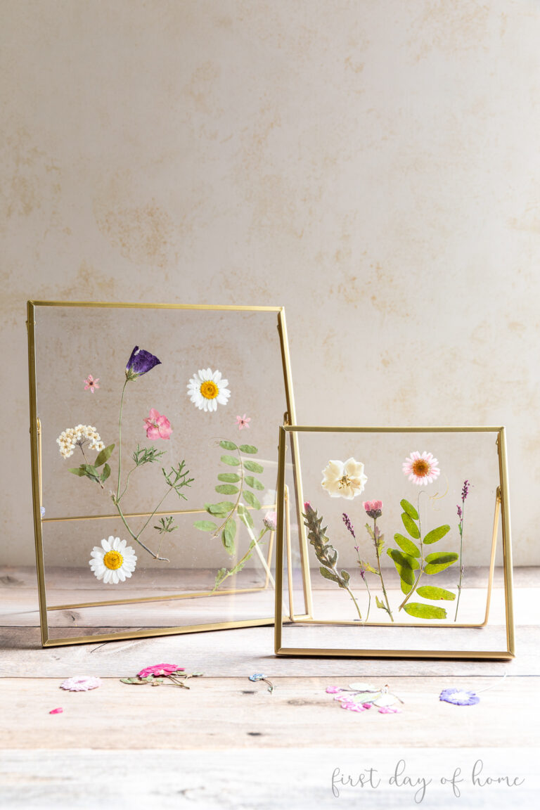Gorgeous Pressed Flower Wall Art: 3 Projects
