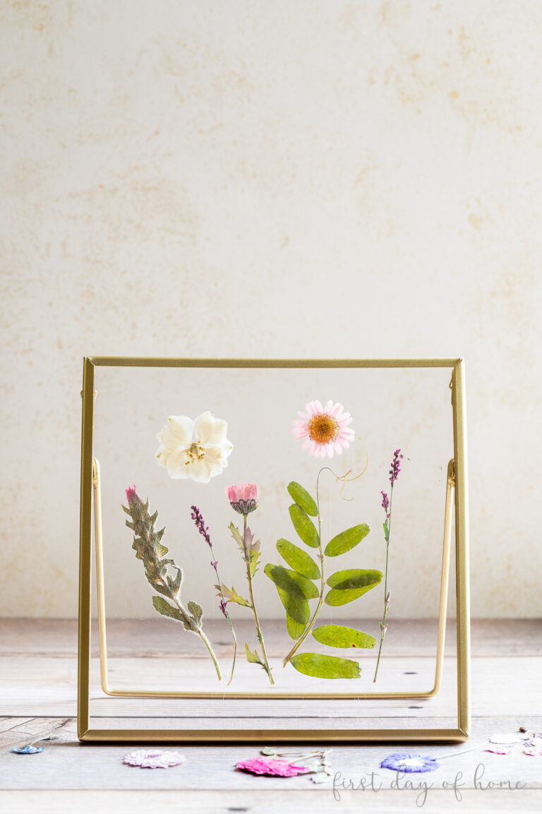 Beautiful Pressed Flower Crafts (2026) | First Day of Home