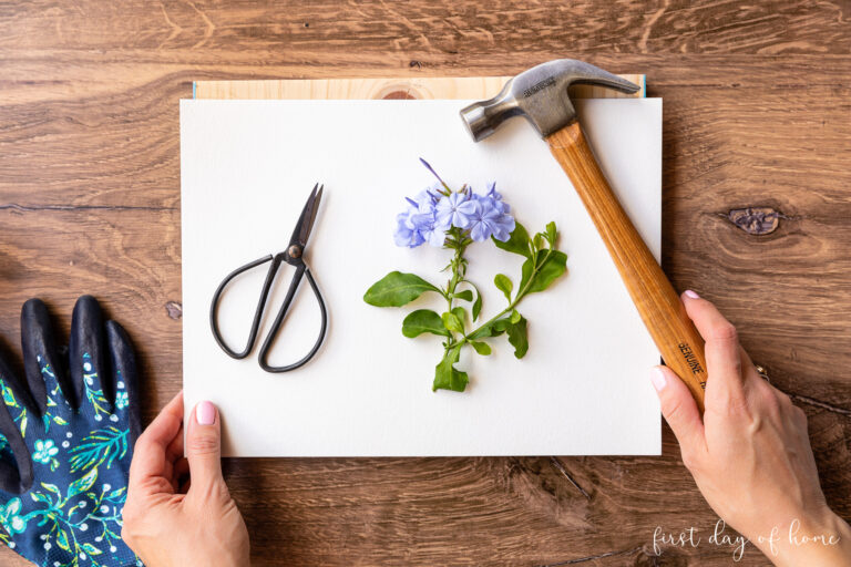 Flower Pounding 101: A Beginner's Guide | First Day of Home